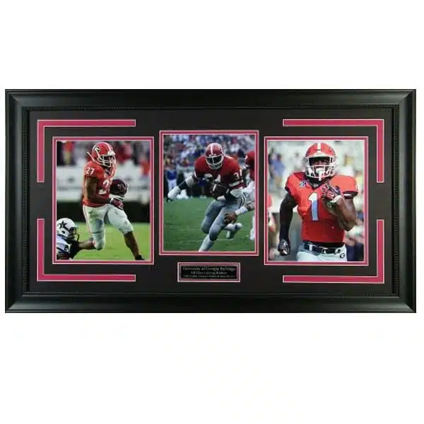 Georgia Bulldogs Rushing Leaders - Heritage CAA